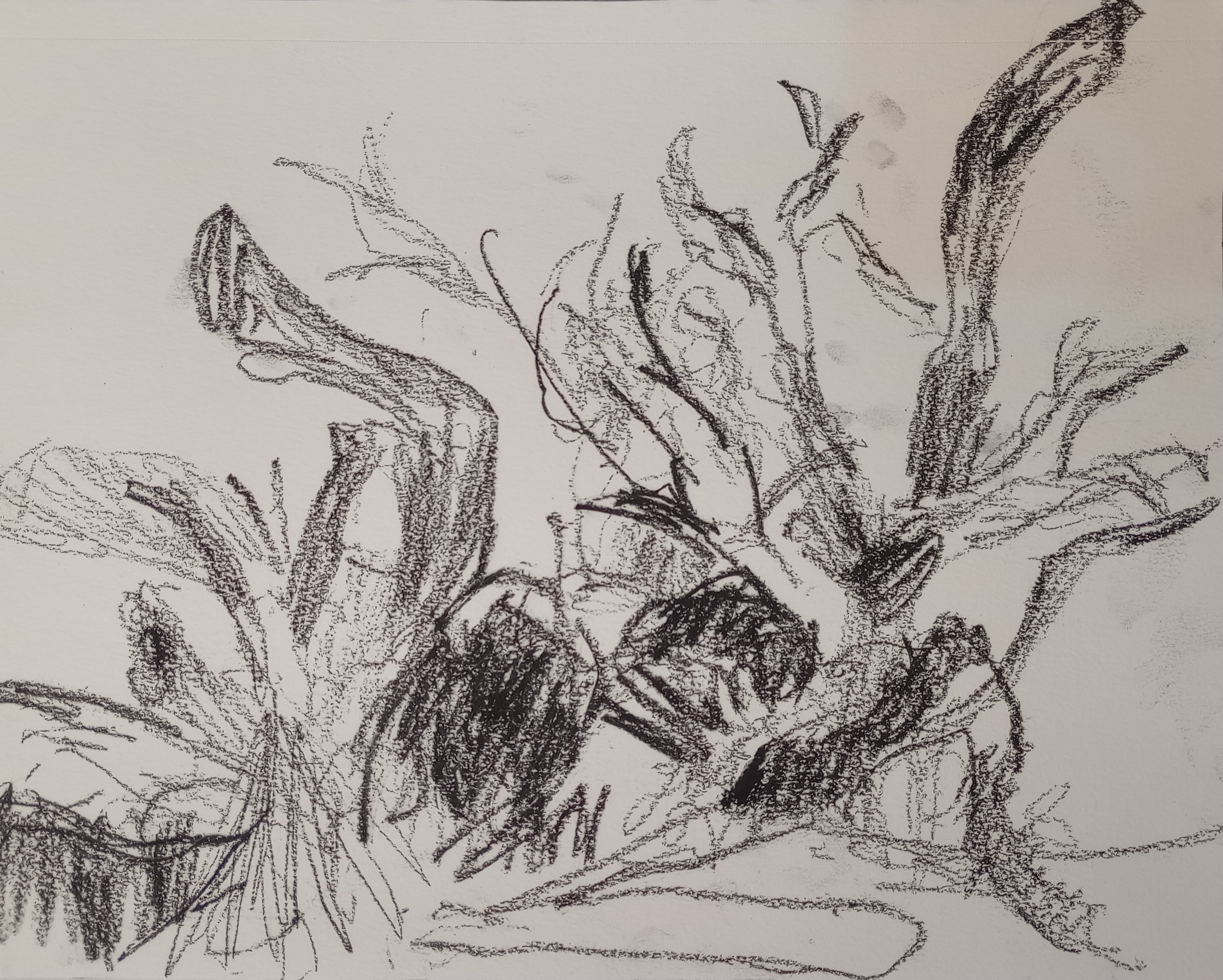 Drawings – Built By Jay
