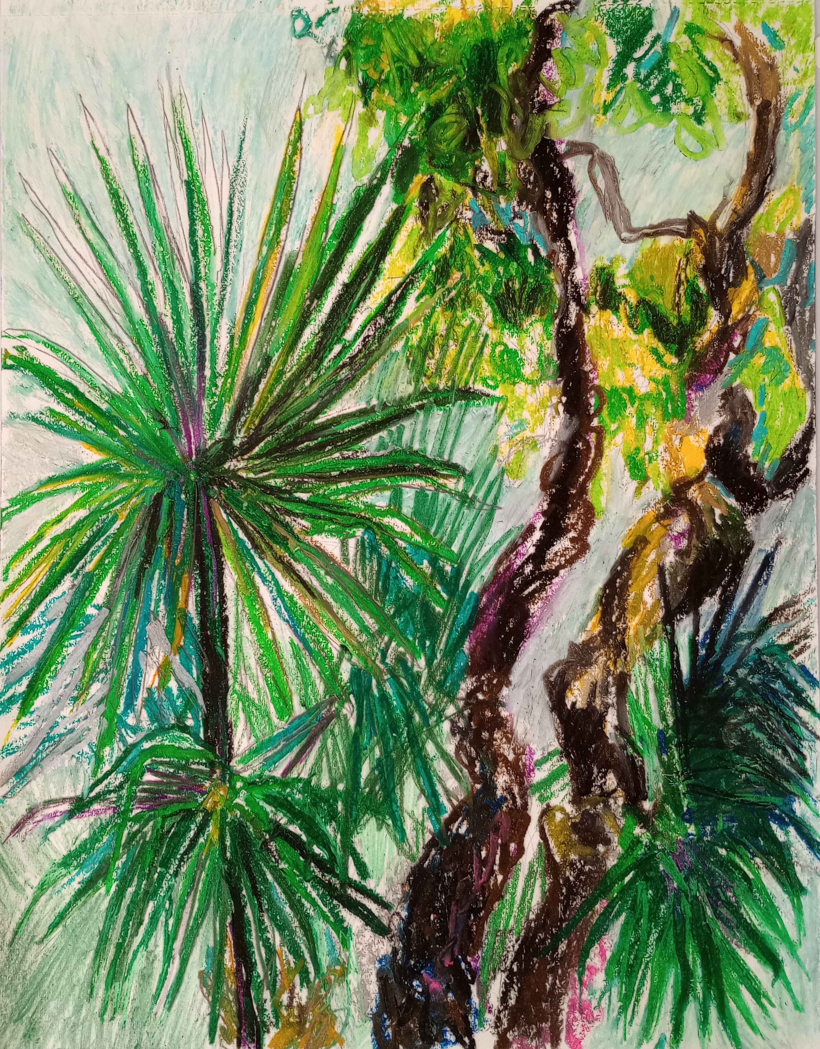 Drawings – Built By Jay