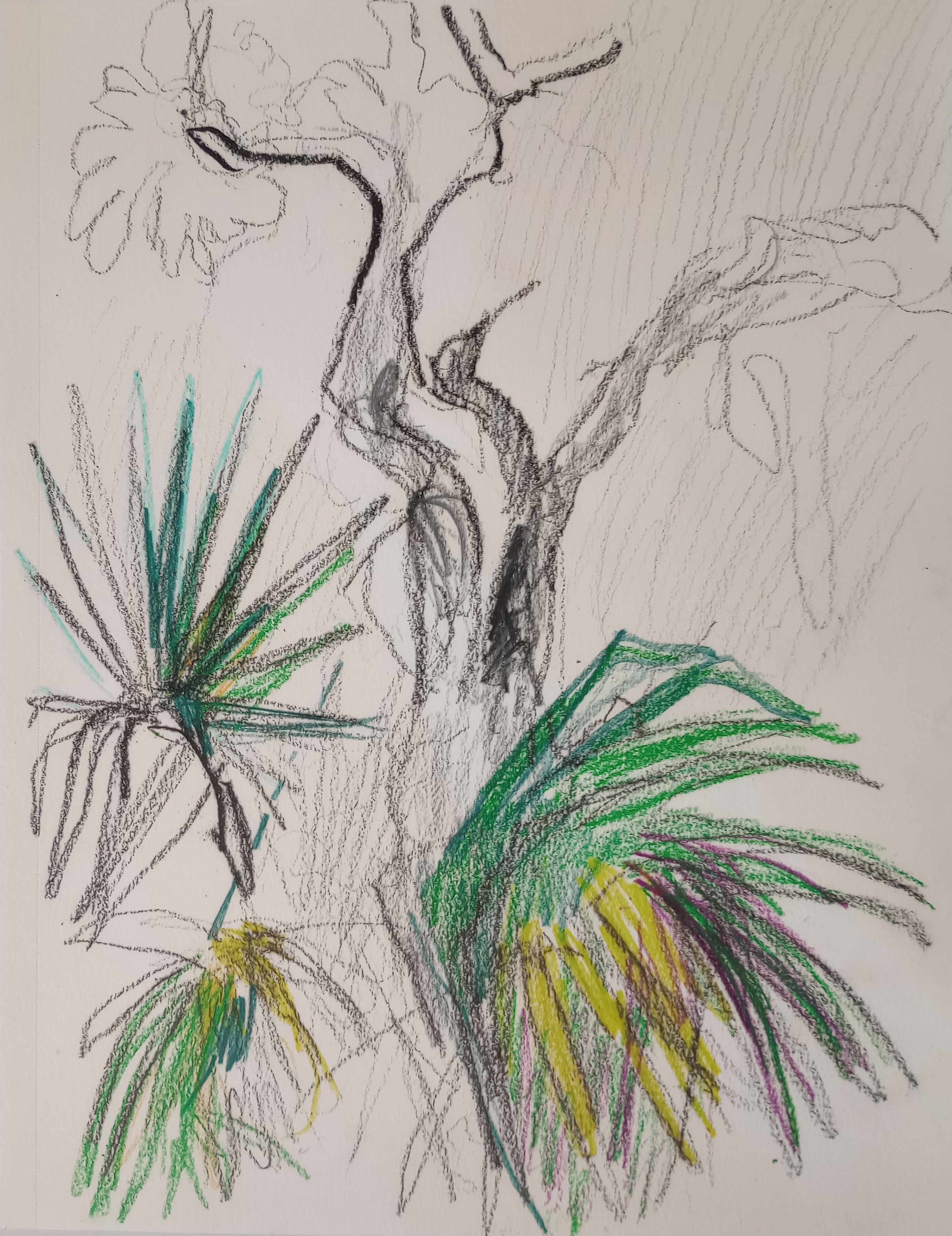Drawings – Built By Jay
